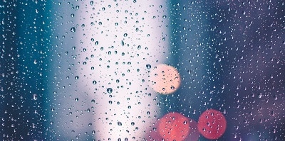 Do dogs like rain and getting wet?