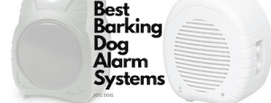 Best Barking Dog Alarm System To Keep Intruders and Burglars Away - Jug Dog