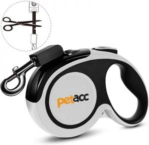 5 Best Extendable Dog Leads - Retractable Leashes For More Freedom