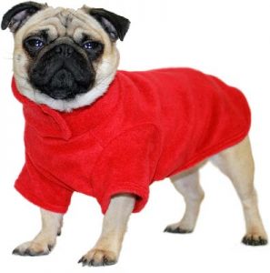 Best Raincoats for Pugs in UK 2023 & How to Choose Them!