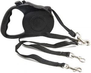 5 Best Extendable Dog Leads UK 2021 - JugDog.co.uk