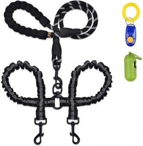5 Best Extendable Dog Leads UK 2021 - JugDog.co.uk